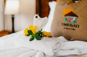 An Unforgettable Honeymoon Experience at Timbavati Safari Lodge ...